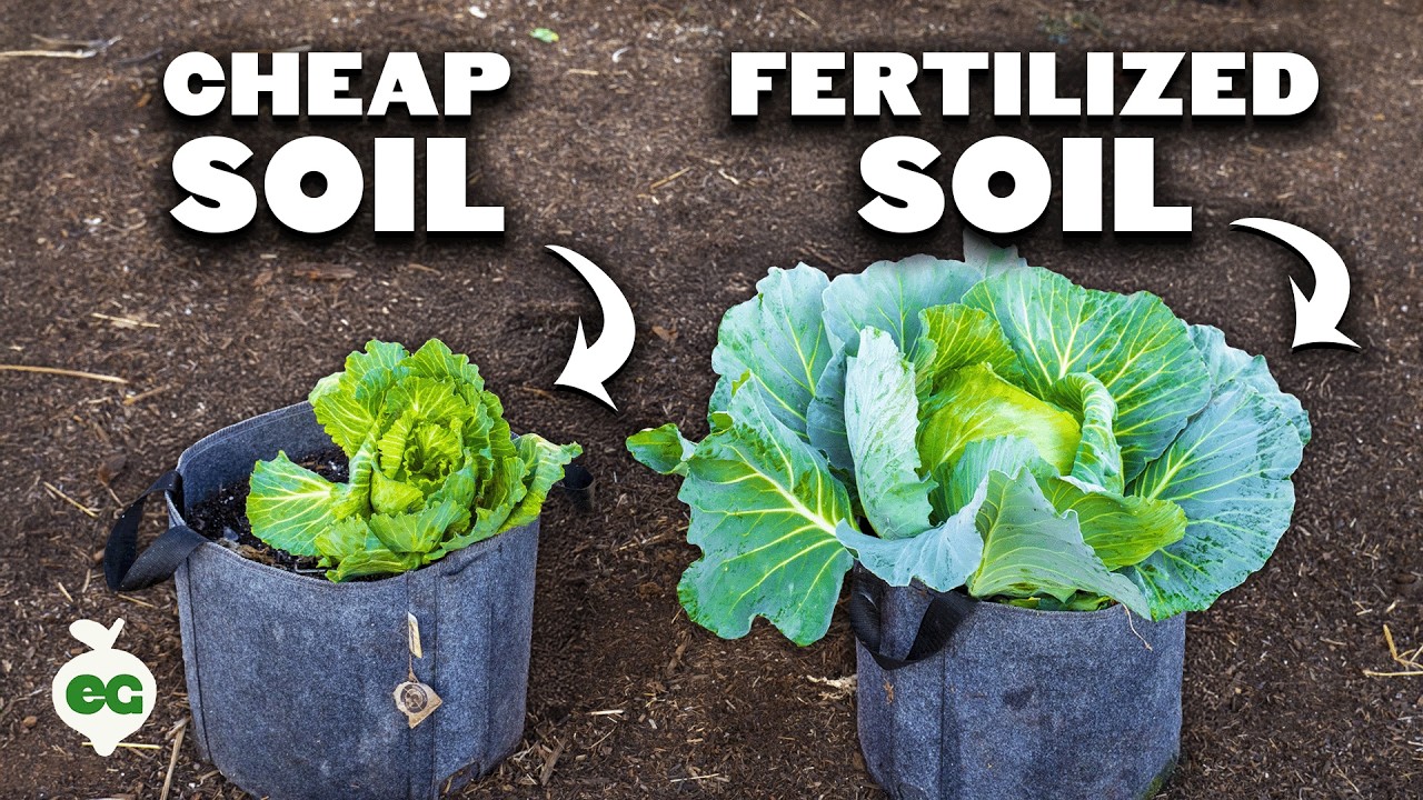 Can You Make Cheap Soil AMAZING With Fertilizer? - YouTube