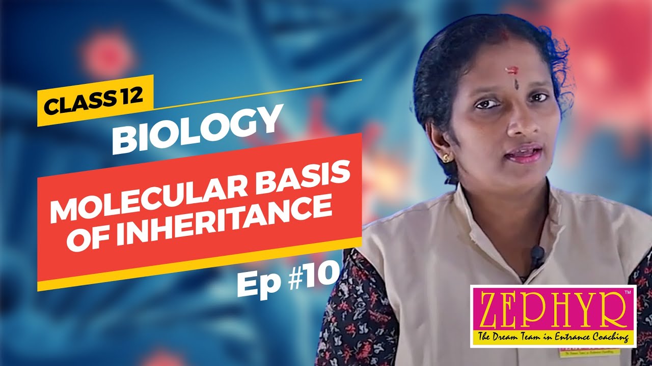 Class 12 | Biology | CHAP 7 | Ep. 10 | MOLECULAR BASIS OF INHERITANCE ...