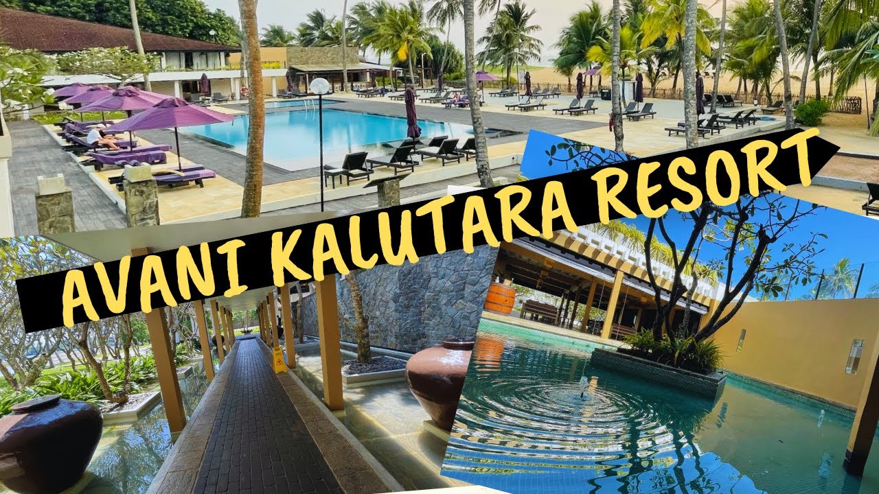 Beautiful Beach Resort in Sri Lanka| A beach paradise you must visit next| Avani Kalutara Resort ...