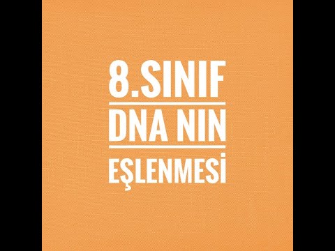 8.Sınıf DNA nın Eşlenmesi
