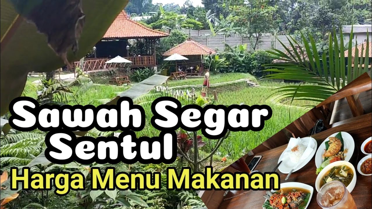 Sawah Segar Sentul || Harga Menu Makanan || Wisata Sentul Bogor - YouTube