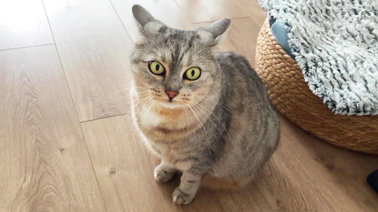 "My brothers won’t leave me alone" - YouTube