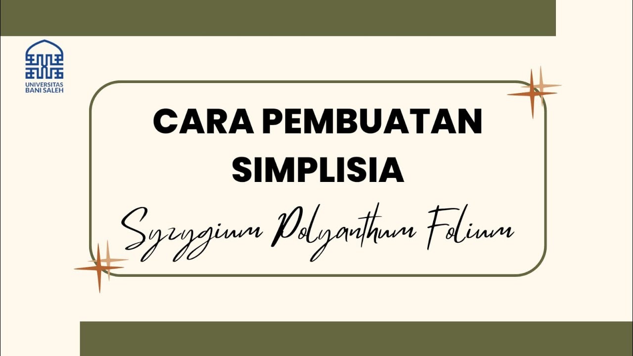 CARA PEMBUATAN SIMPLISIA DAUN SALAM (Syzygium Polyanthum Folium) - YouTube