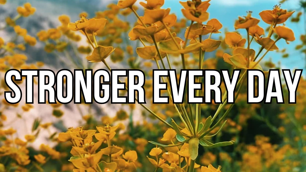 💐 Stronger Every Day 💐 | Motivational Song With Lyrics | English Song ...