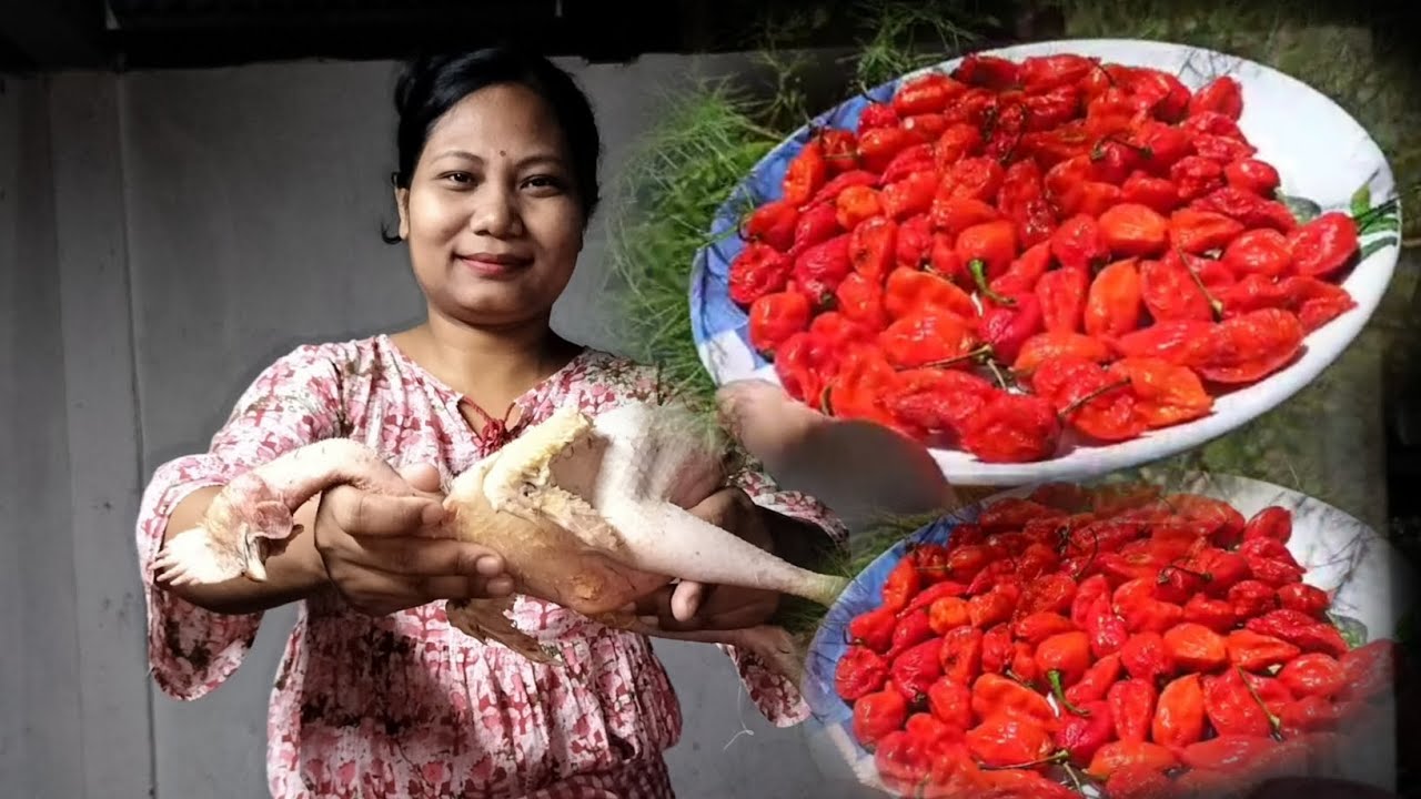 Fresh local organic king chilli from my kitchen garden// king chilli ...