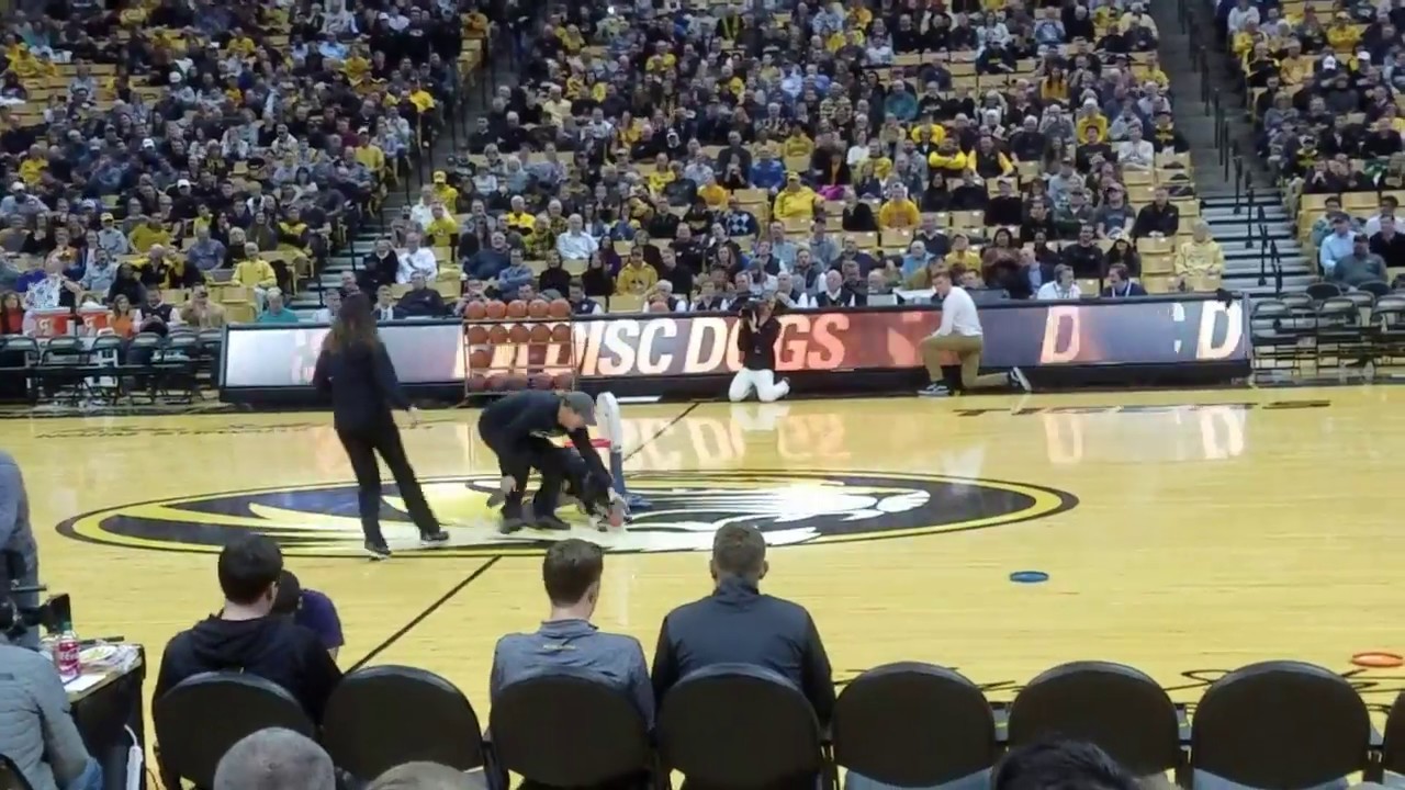 KC Disc Dogs @ Mizzou Jan 17, 2018 - YouTube