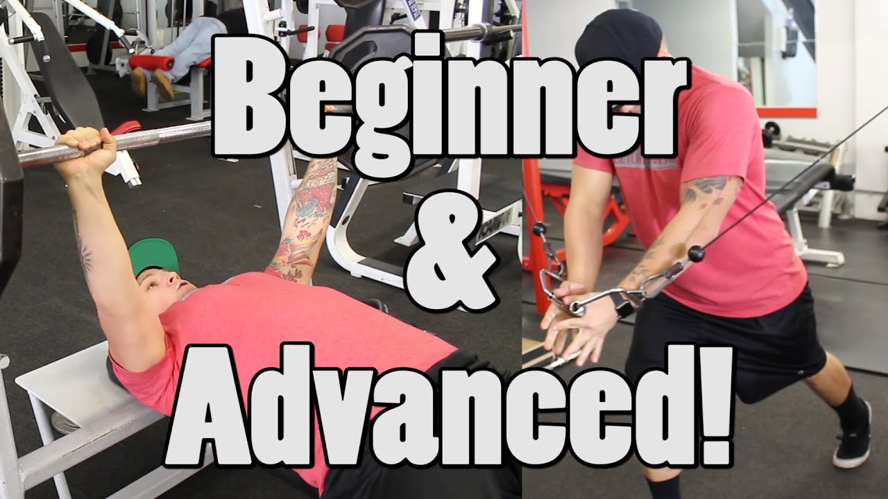 AWESOME Beginner & Advanced Chest Day! (Perfect for All Levels) - YouTube