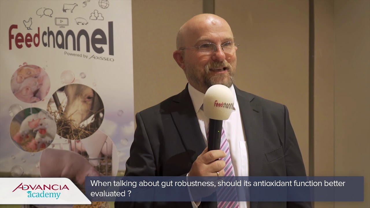 QUESTIONS Peter Surai Dubrovnik 2018 - YouTube