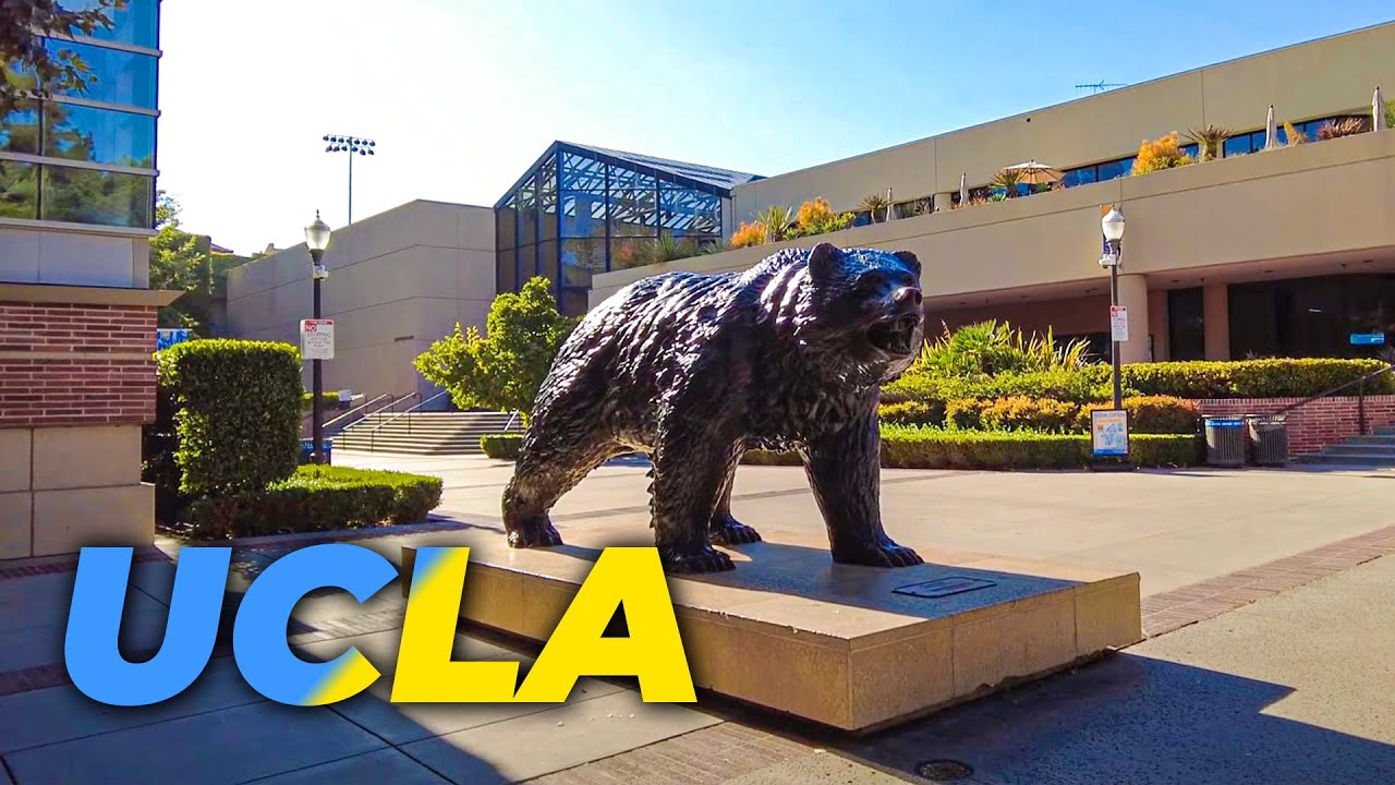 Walking the UCLA Campus (University of California, Los Angeles) - YouTube