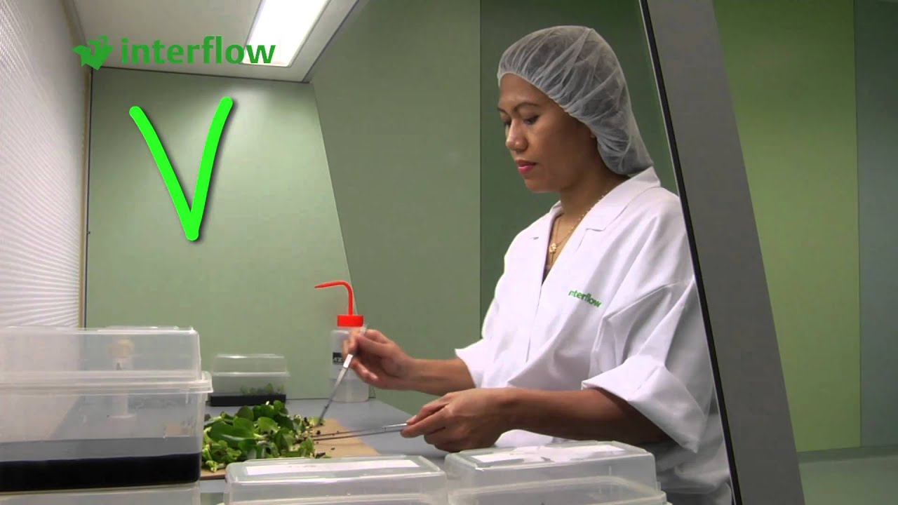 Instructiefilm 'Correct werken in de Interflow cross flow unit' - YouTube