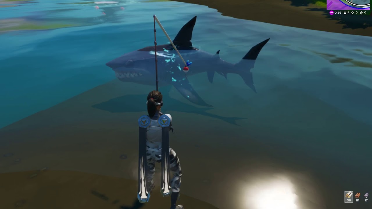 fortnite shark - YouTube