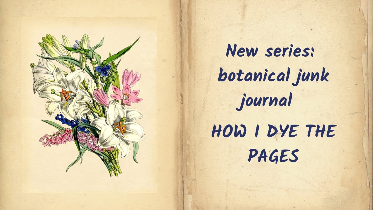 How I coffee dye the papers for my next botanical junk journal, step by ...
