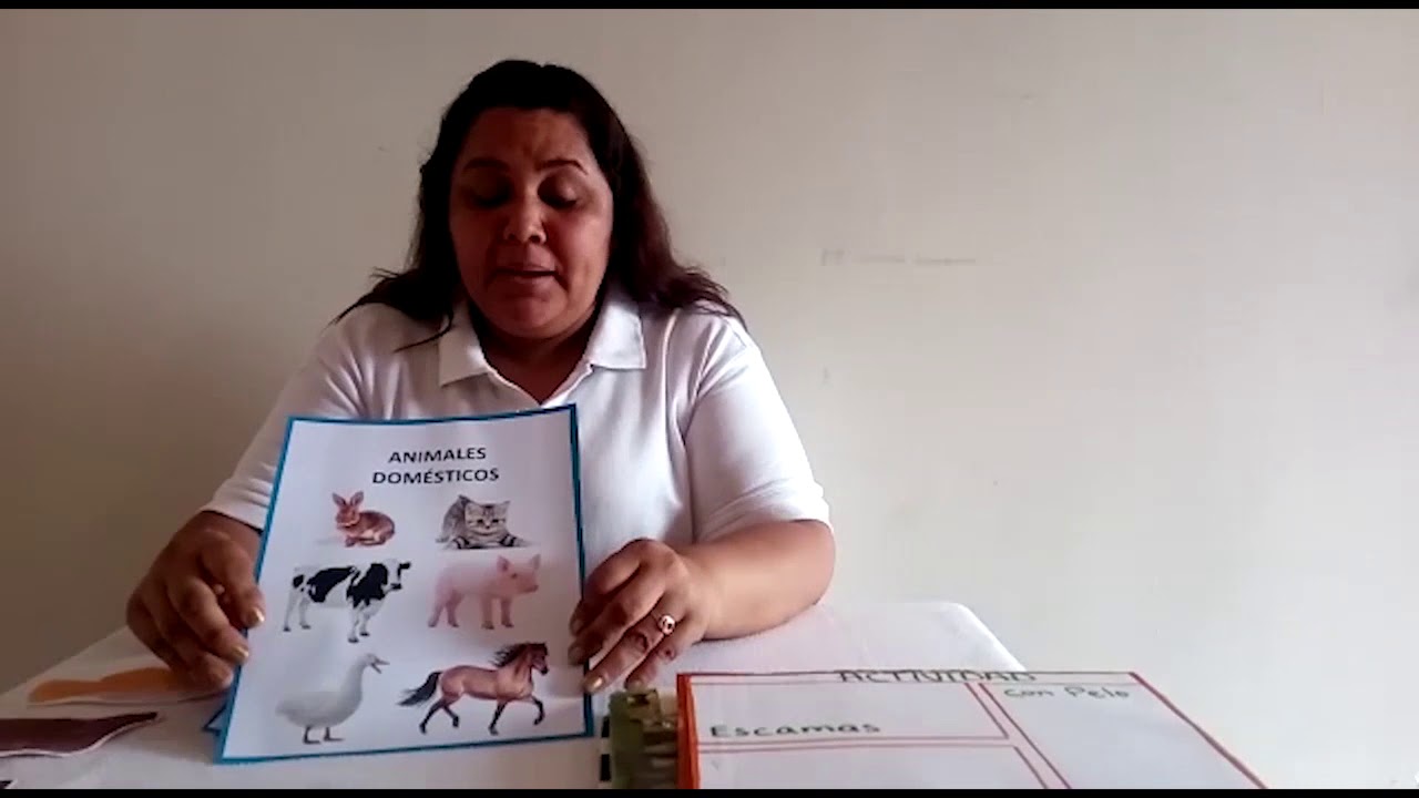 El mundo que me rodea. Primaria, 1º. Conocimiento del medio. Bloque 1 ...