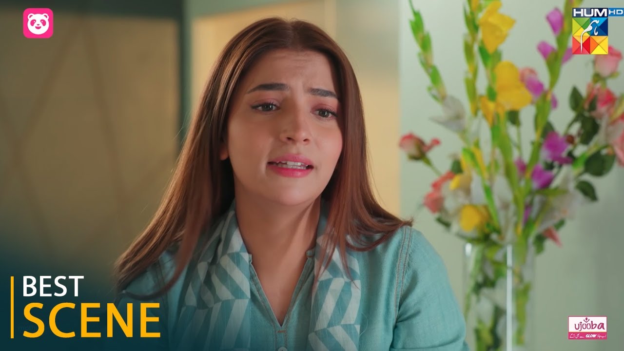 Very Filmy - Ep 13 - Best Scene 01 #dananeermobeen #ameergilani - HUM ...