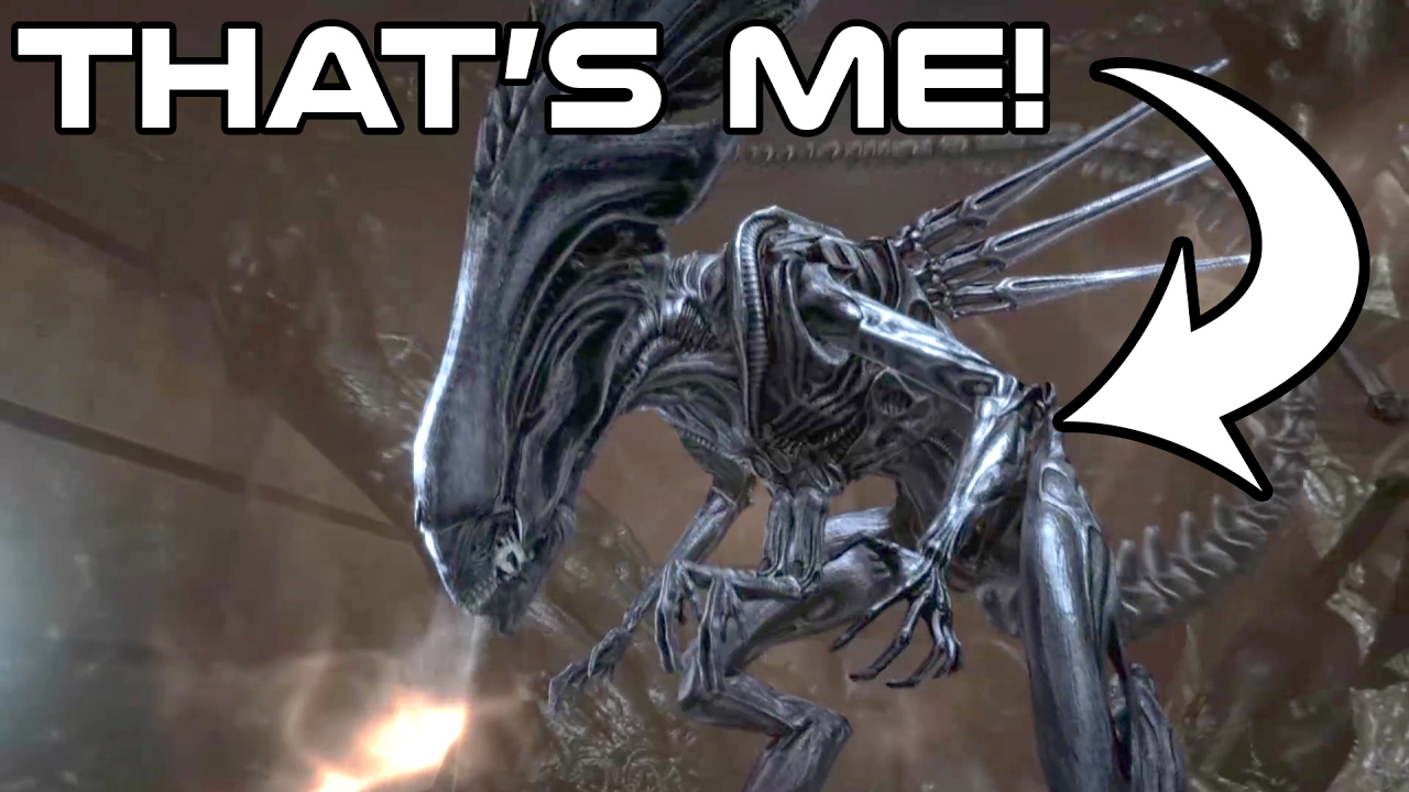 Alien Campaign ENDING - Alien vs Predator #6 - YouTube