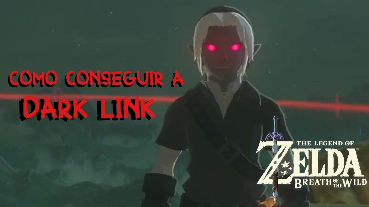 COMO CONSEGUIR EL ATUENDO DE LINK OSCURO EN THE LEGEND OF ZELDA BREATH ...