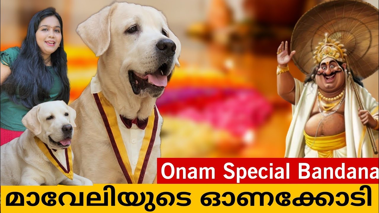 ഇവർക്കും വേണ്ടേ ഓണക്കോടി ? Onam Vlog 2023 | Dog Bandanas | Kerala Style ...