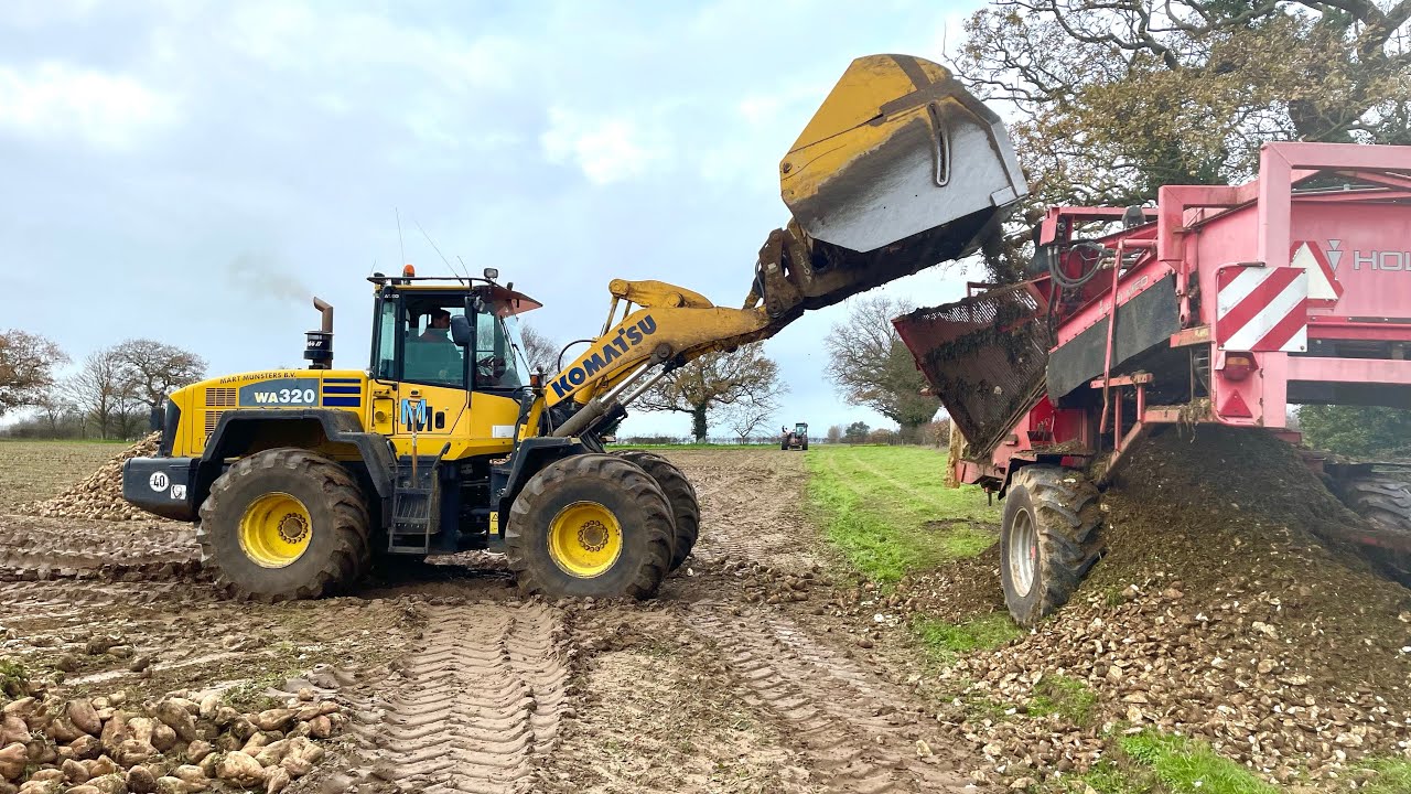 HUGE KOMATSU WHEELED LOADER ARRIVES TO LOAD THE BEET! - YouTube