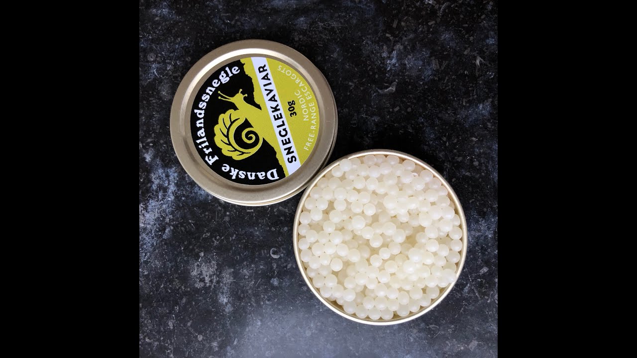 Snail Caviar from a Danish Snail Farm - YouTube