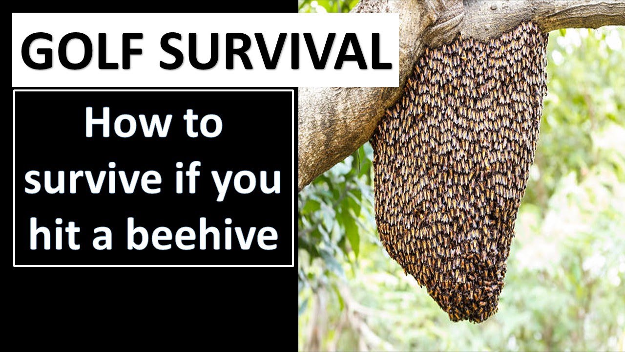 Golf Survival #3 - Hitting a Beehive or Wasp Nest - YouTube