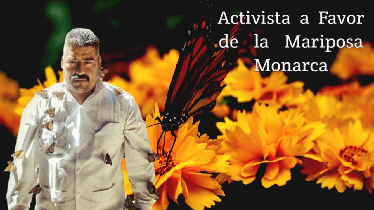 El héroe de la mariposa monarca, Homero Gómez González - YouTube