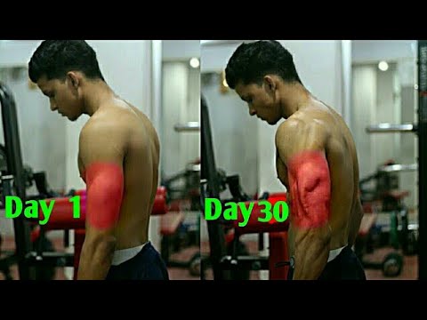 Enhance TRICEPS measurement | High 4 Train for BIGGER TRICEPS | Yash ...