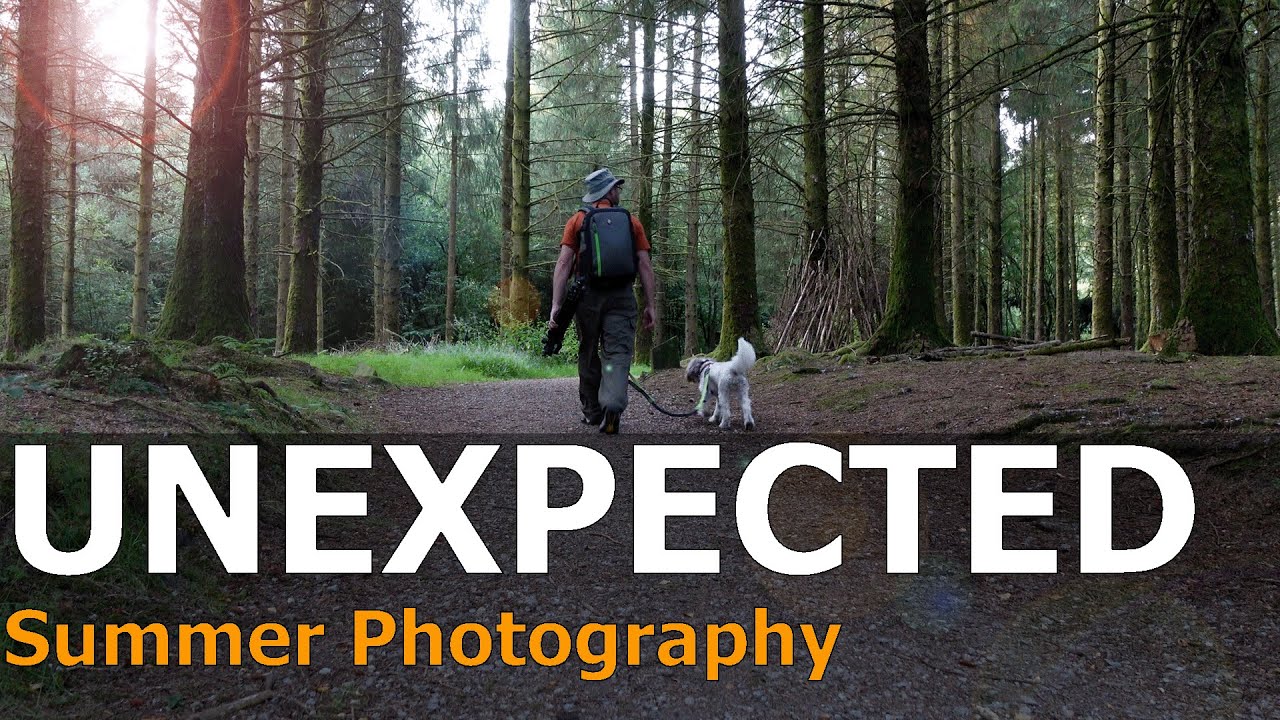 BETTER Summer LANDSCAPE PHOTOGRAPHY | There is more to it than chasing ...
