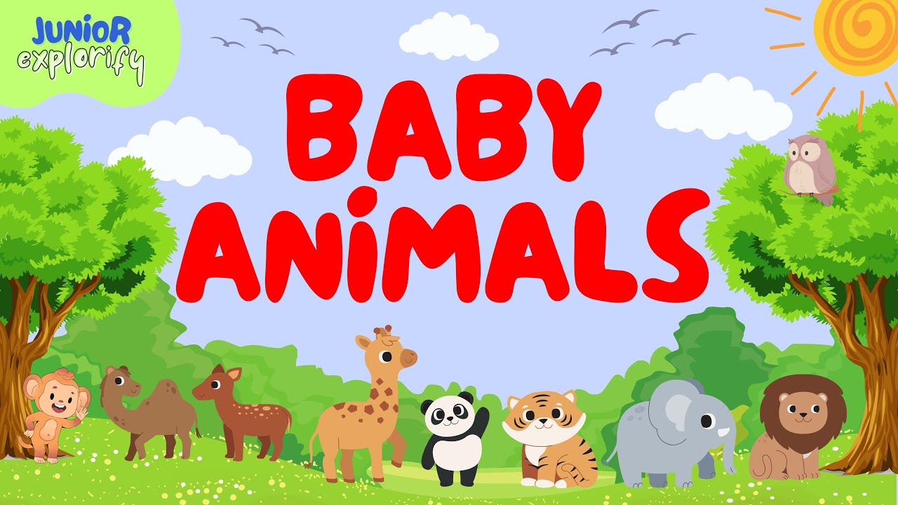 Adorable Baby Animal Compilation for Kids - YouTube