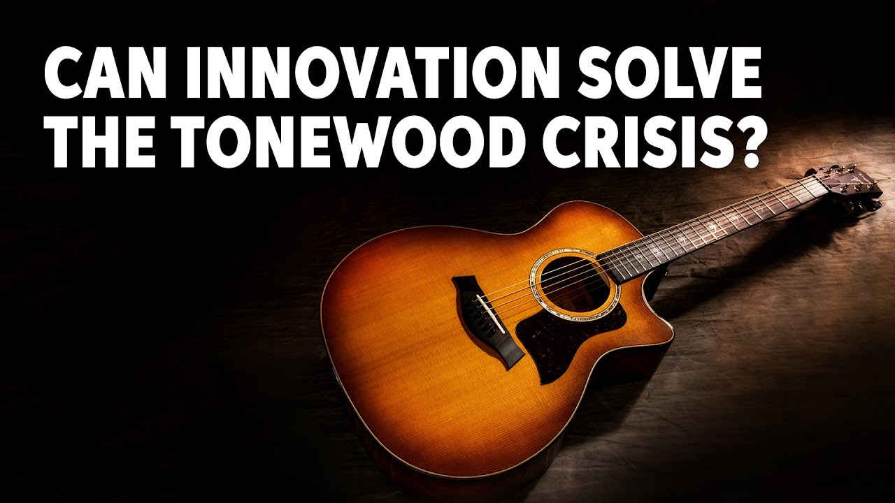 The Future of Tonewoods | Talking Sustainability with Taylor Guitars ...