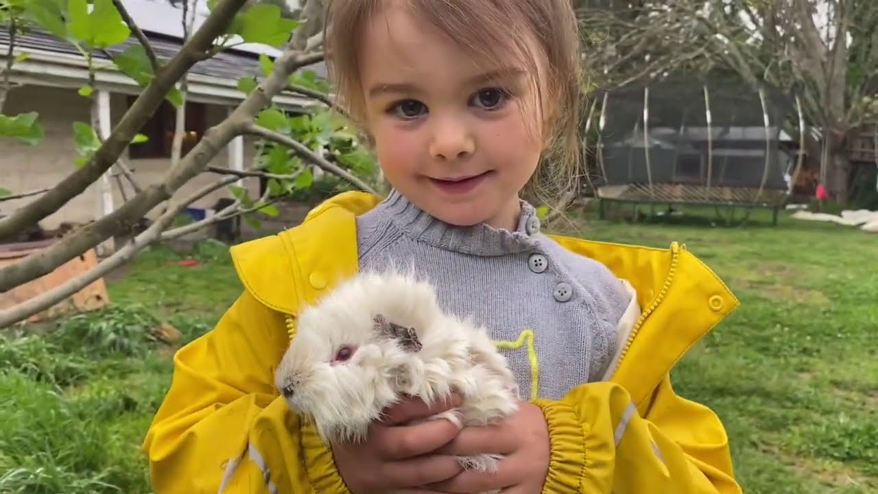 Spring 2020 at PEACE Farm - YouTube