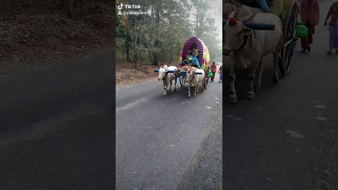 Ganikoppa Ulavi chakkadi - YouTube