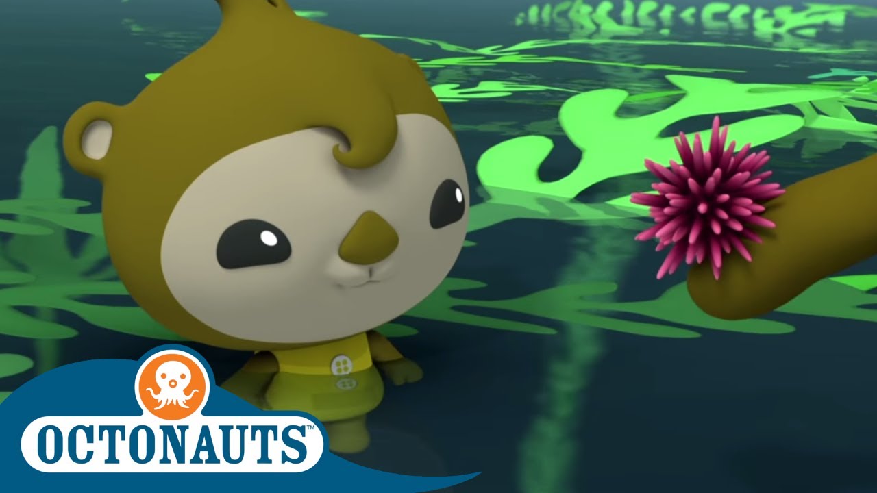 Octonauts - Periwinkle | Cartoons for Kids | Underwater Sea Education ...