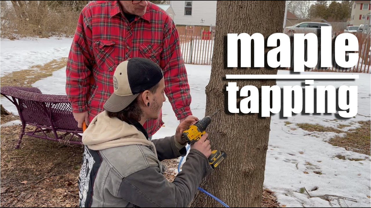 Tapped! Mapling with the Guys from WorcShop - YouTube