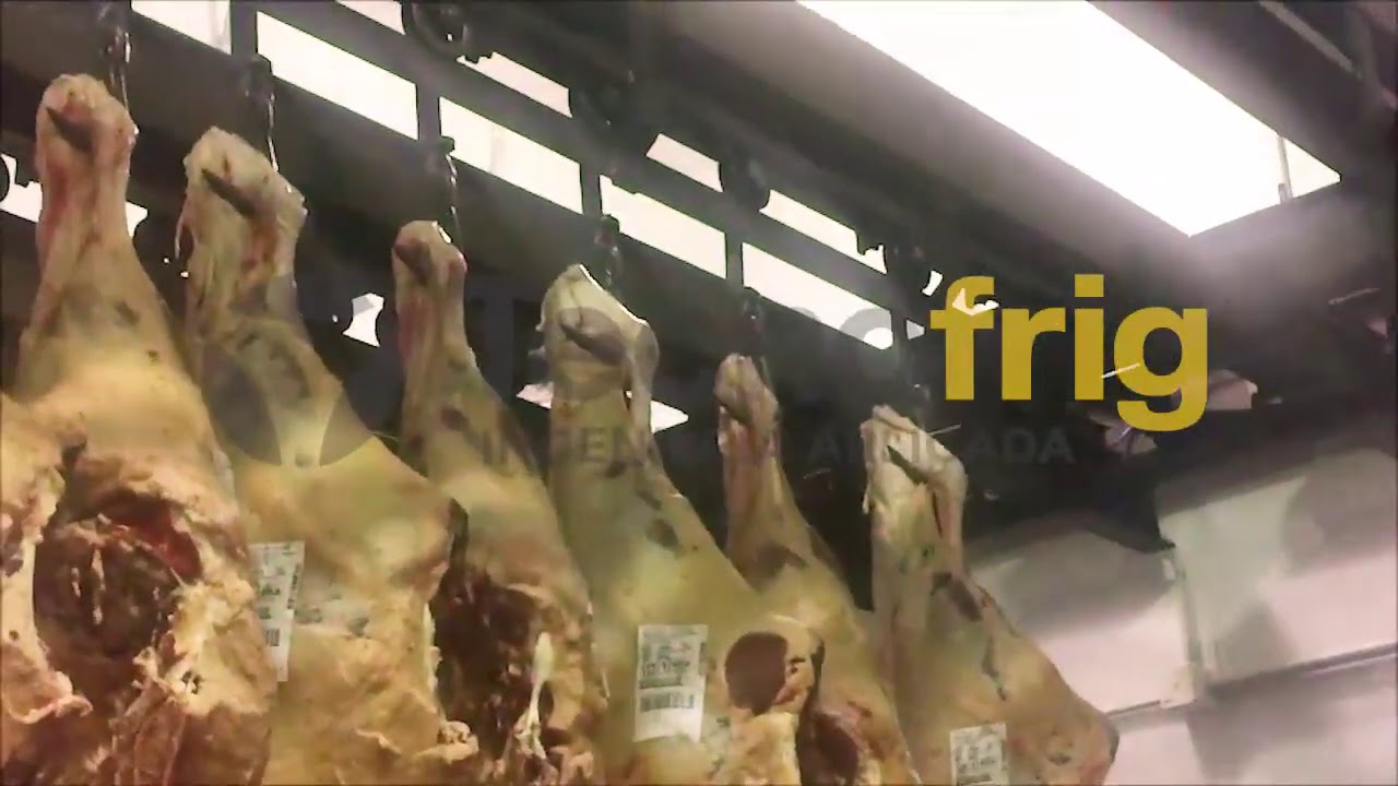 Manipulación automática de medias reses - YouTube