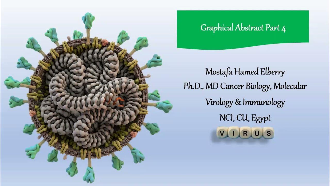 Graphical Abstract Part 4 - YouTube