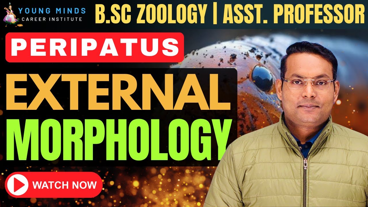 External Morphology of Peripatus | B.Sc Zoology - YouTube