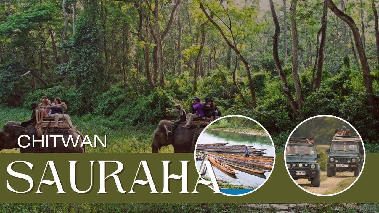 Sauraha,Chitwan || Part 1 - YouTube