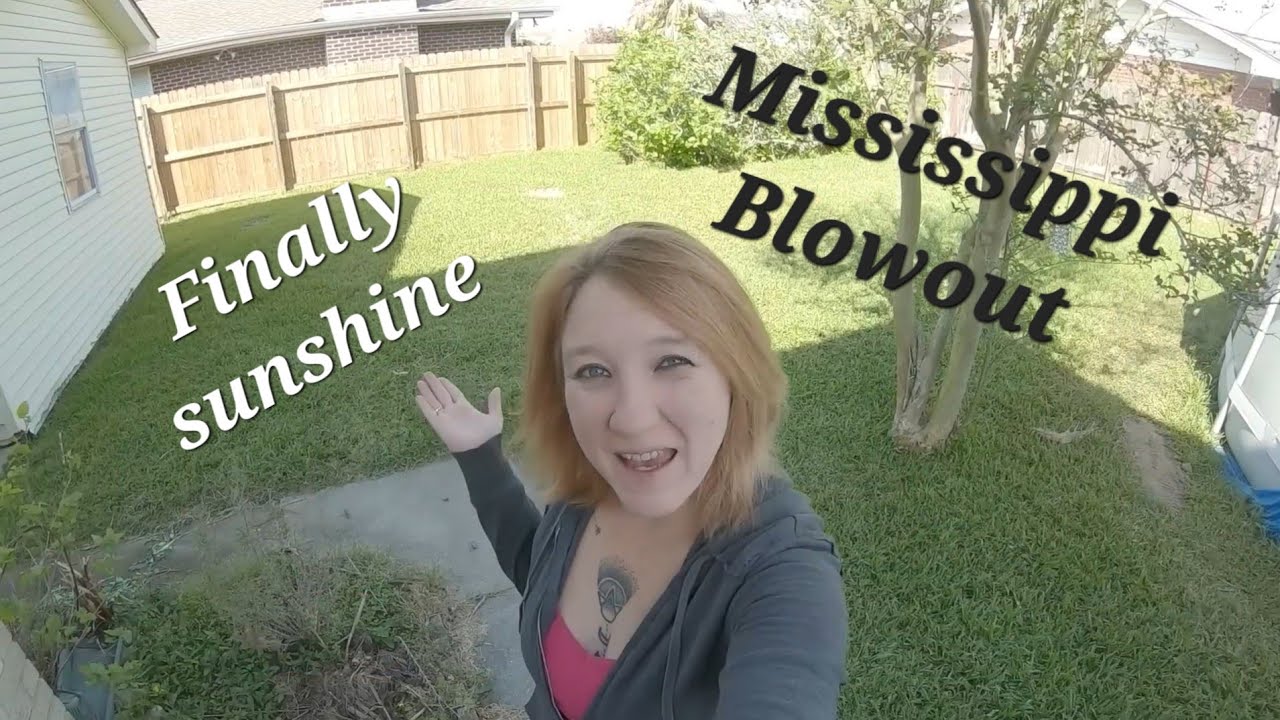 The Florida Girl has landed...couple builds, tiny house, homesteading ...