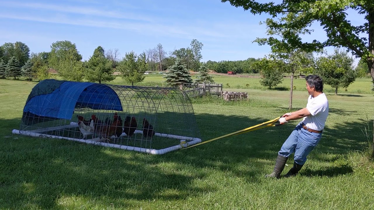 Moving PVC Chicken tractor ( 移動式雞舍) - YouTube