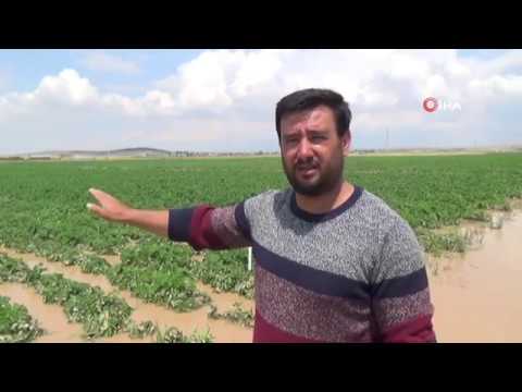 Niğde’de Patates Tarlaları Su Altında Kaldı