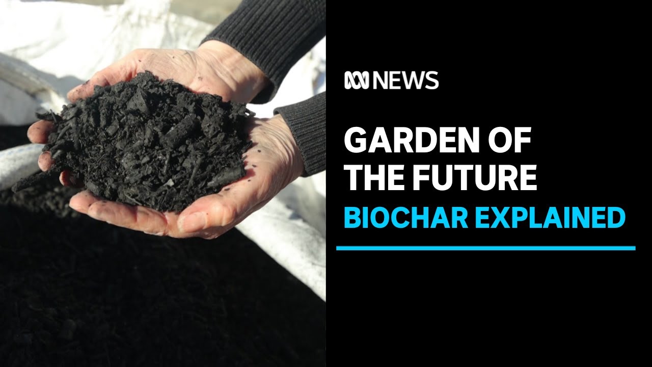 Turning green waste to black gold: new biochar trial | ABC News - YouTube