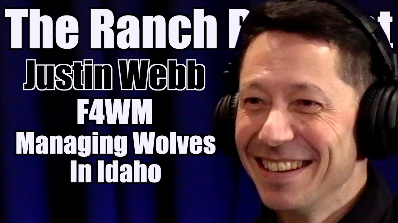 Citizens Managing Wolves in Idaho with Justin Webb - YouTube