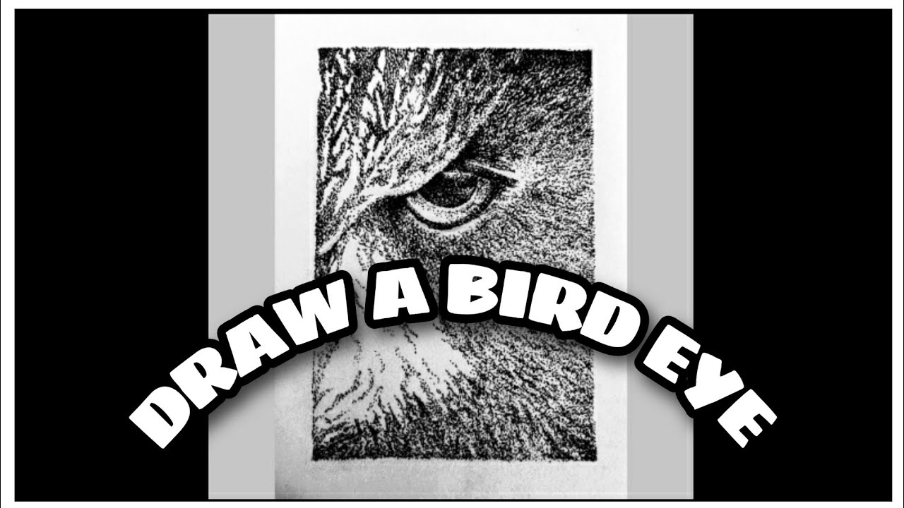 DRAW A BIRD EYE. - YouTube