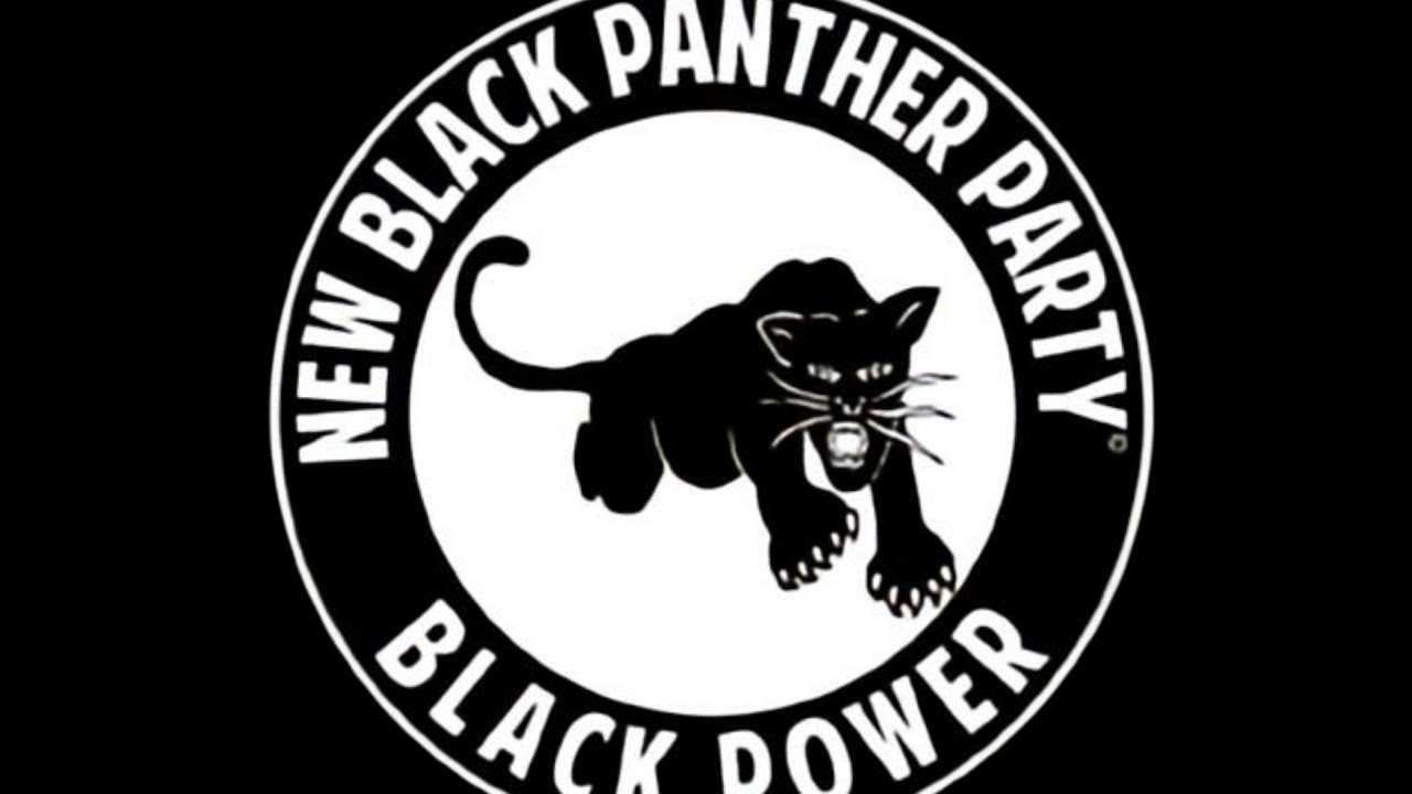 NBPP 10 Point Program (Part1) - YouTube