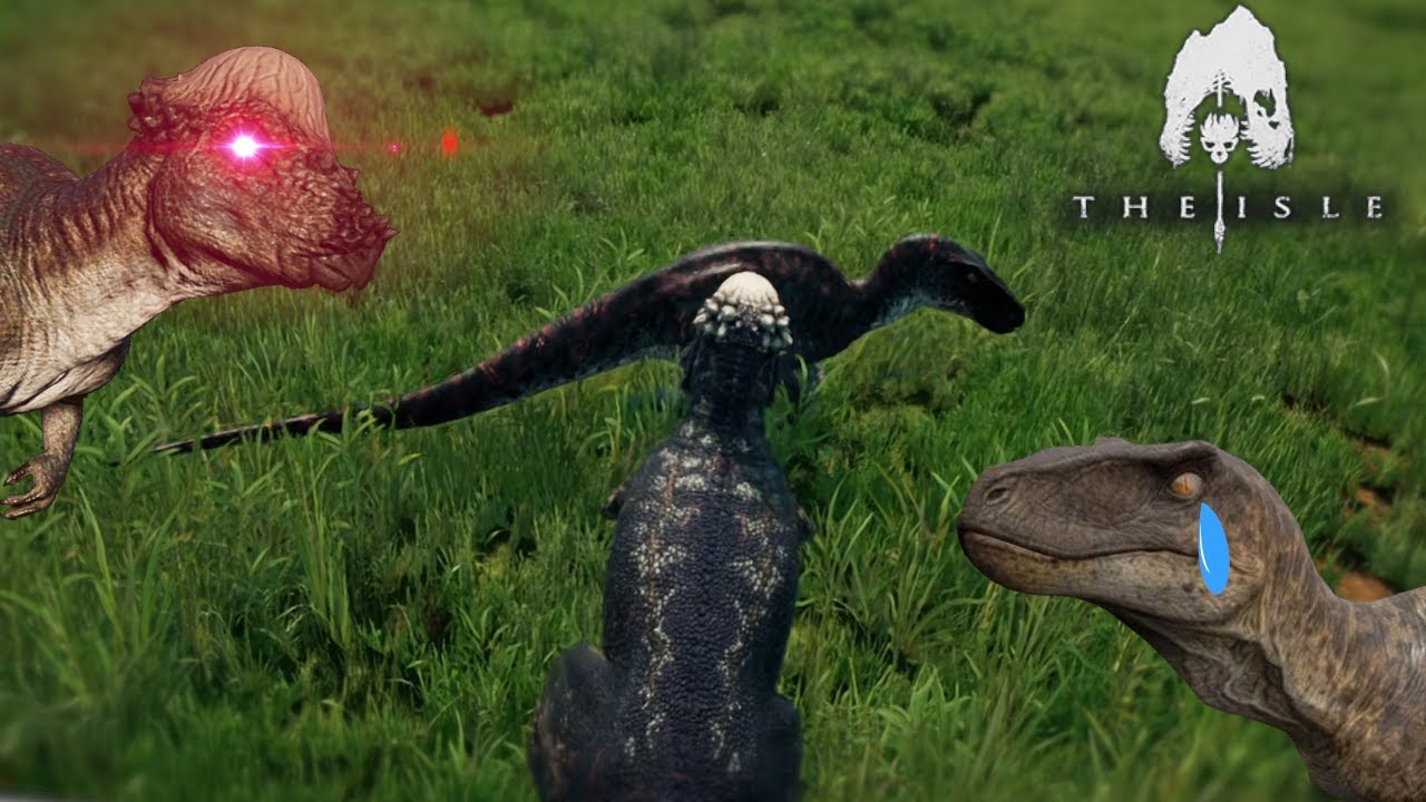 The Bonkasaurus | Pachy Gameplay | The Isle 6.5 - YouTube