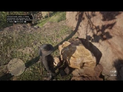 Red Dead Redemption 2 "Calumet Ravine Treasure Map Location" - YouTube