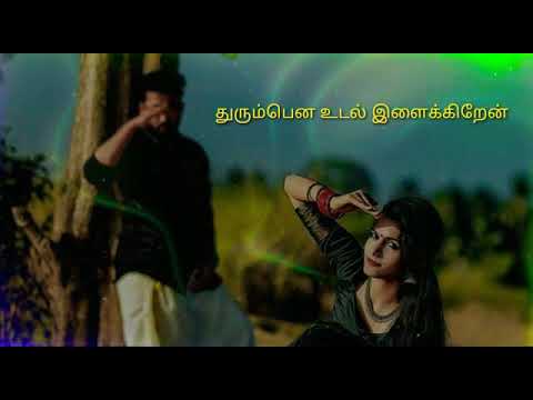 sema whatsapp status song