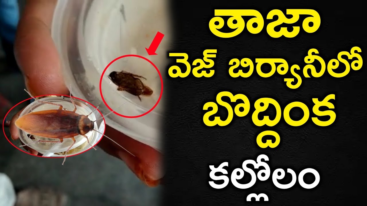 Cockroach in Fresh Veg Biryani in Chikkadpalli Nadini Hotel | వెజ్ ...