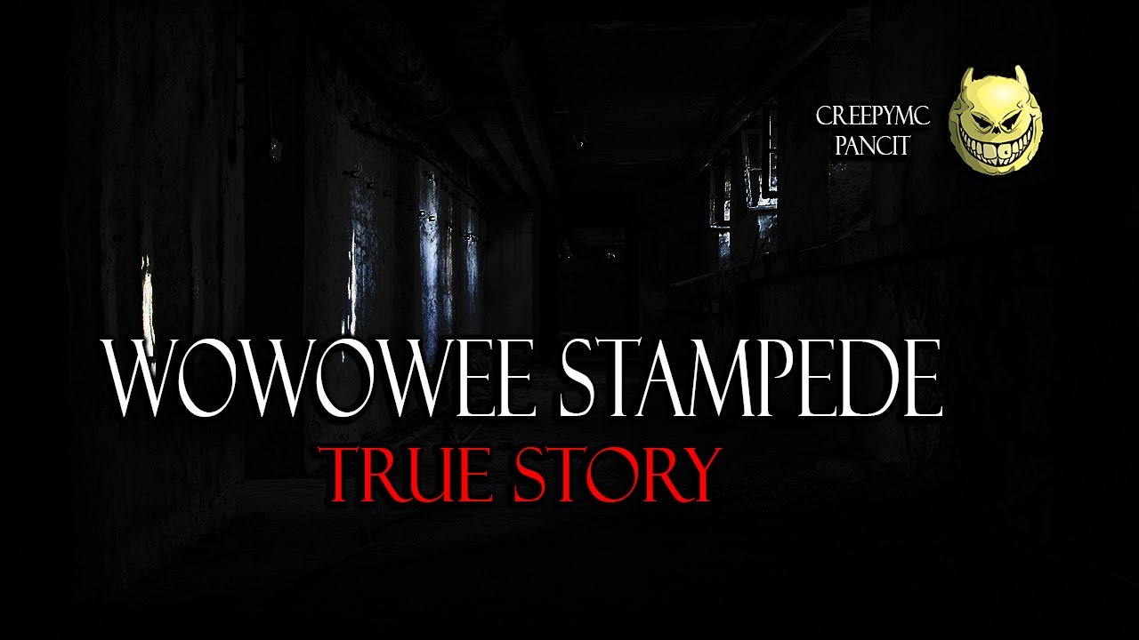 Wowowee Stampede - True Story - YouTube