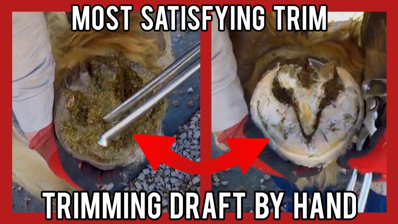 Most Satisfying Trim - Trimming Draft by Hand - RJF - YouTube